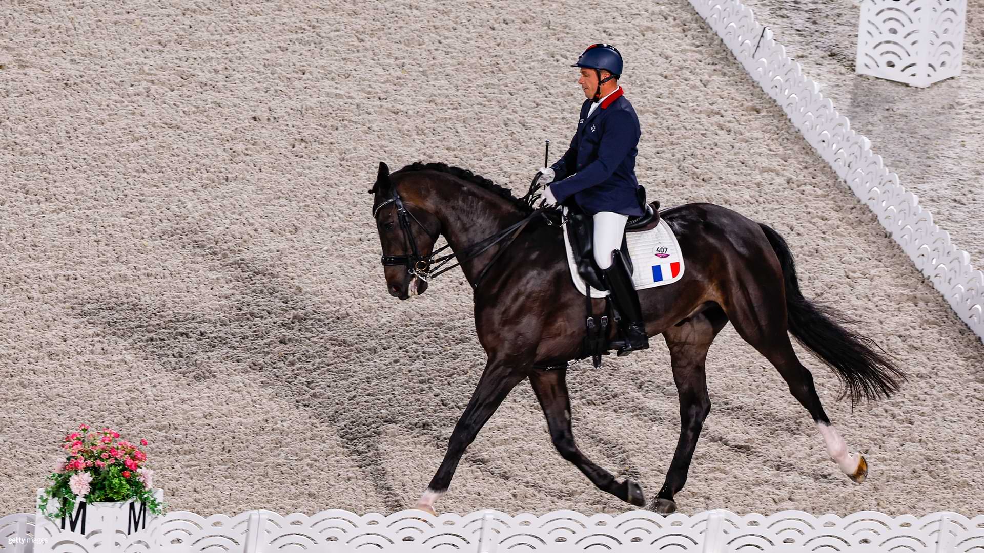 Para Equestrian