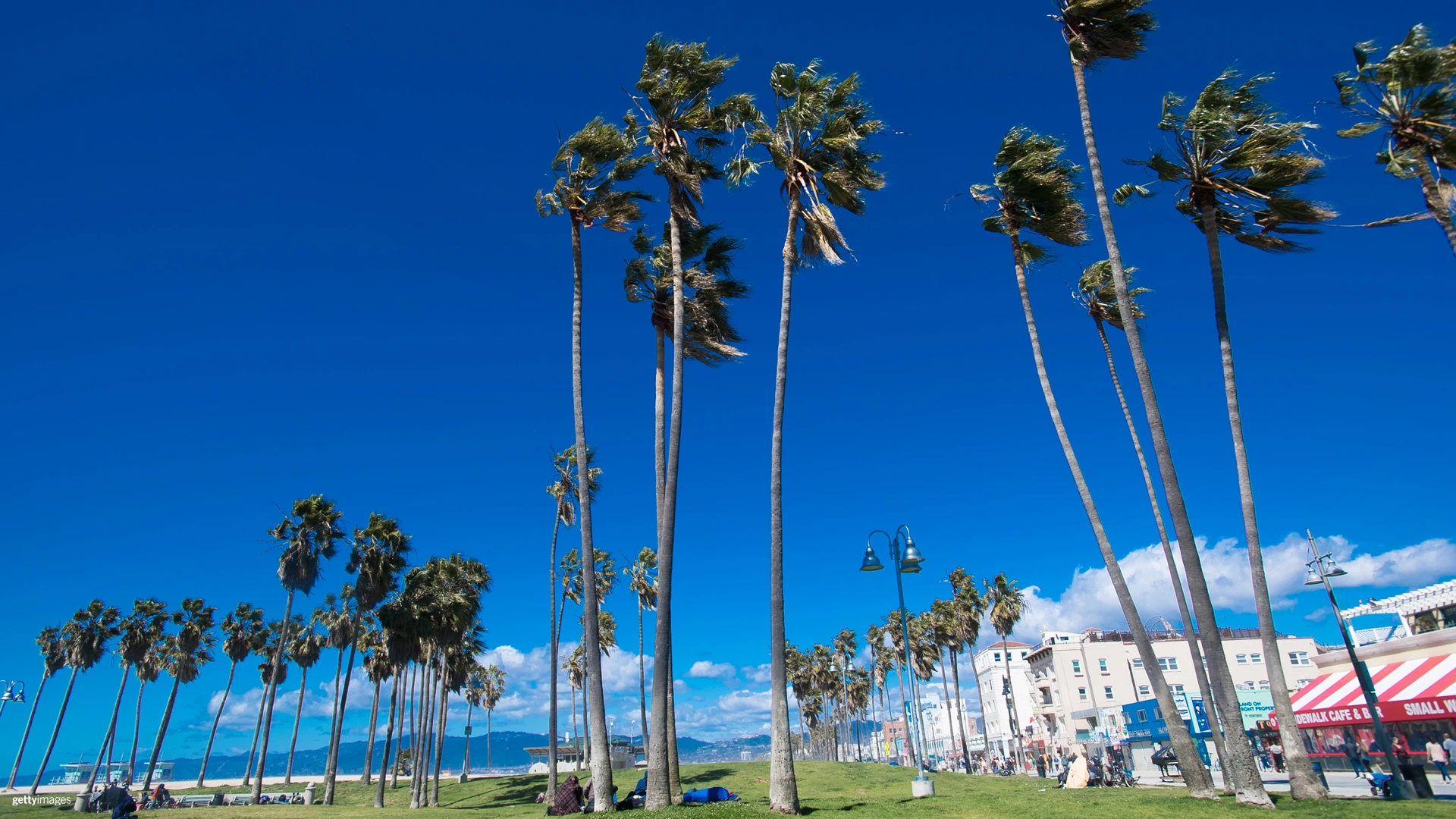 Venice Beach Boardwalk